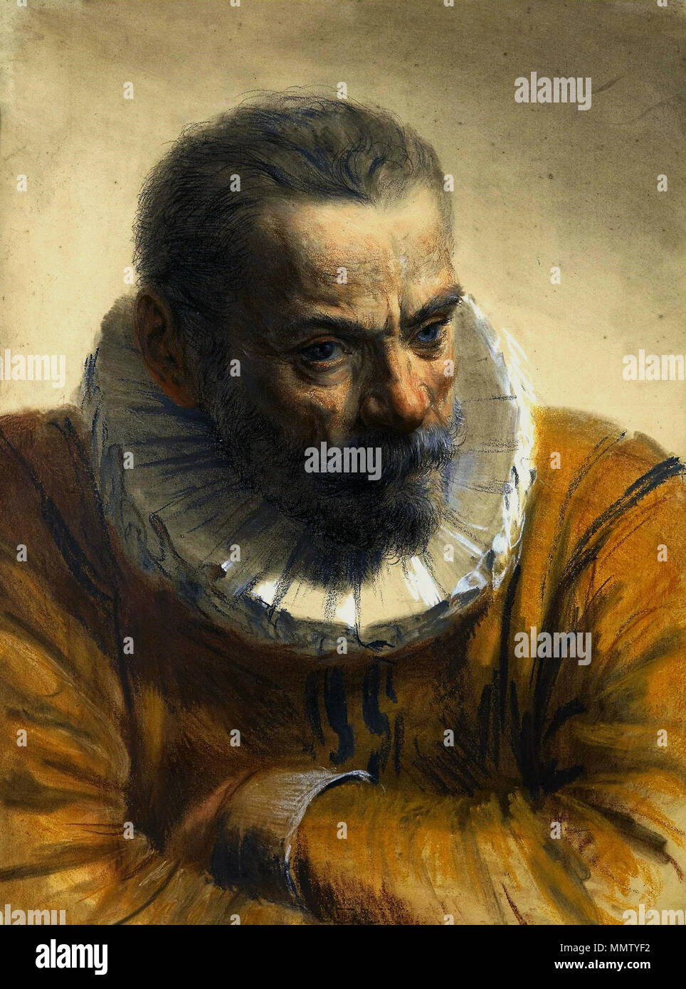 Ruff collar hi-res stock photography and images - Alamy