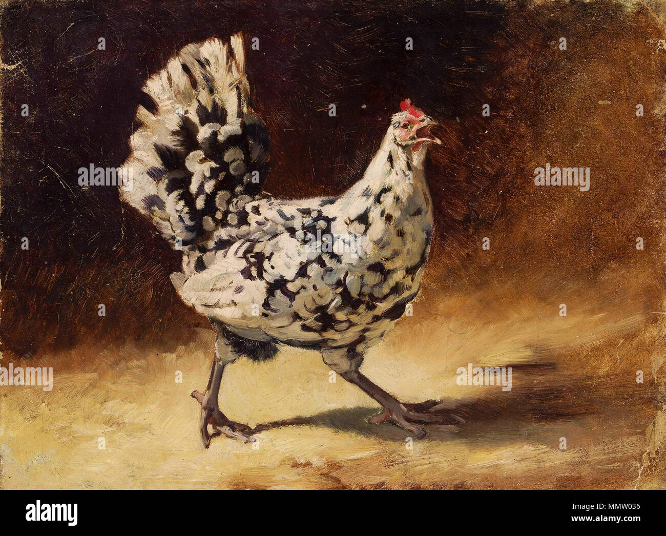 Commercial laying hen hi-res stock photography and images - Alamy