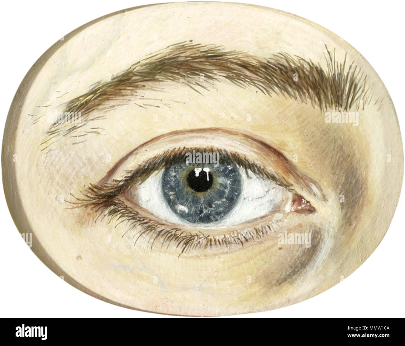 Human eye diagram hi-res stock photography and images - Alamy