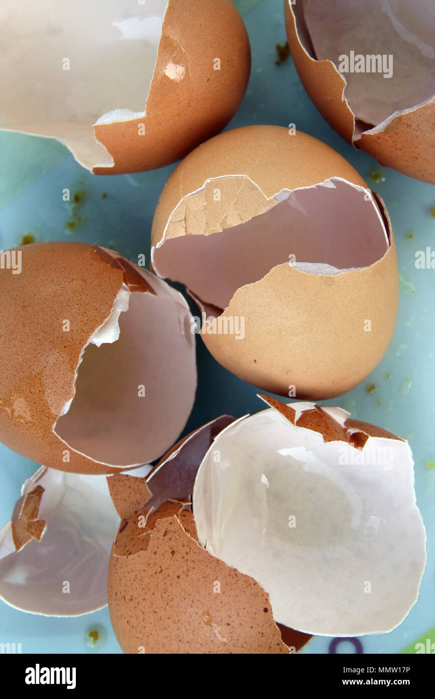 Cracked egg shells. Cracked eggs Stock Photo - Alamy