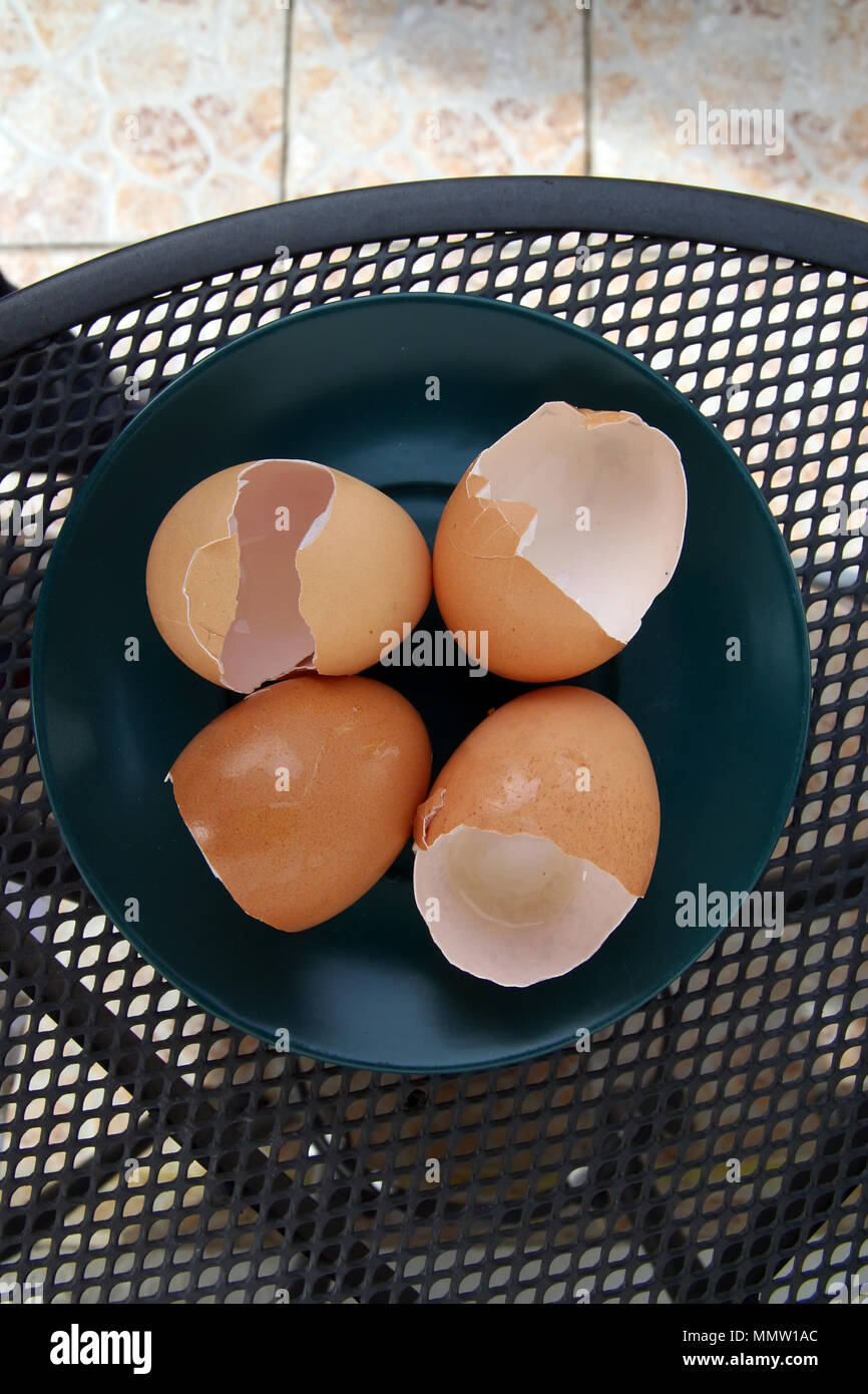 Cracked egg shells. Cracked eggs Stock Photo - Alamy
