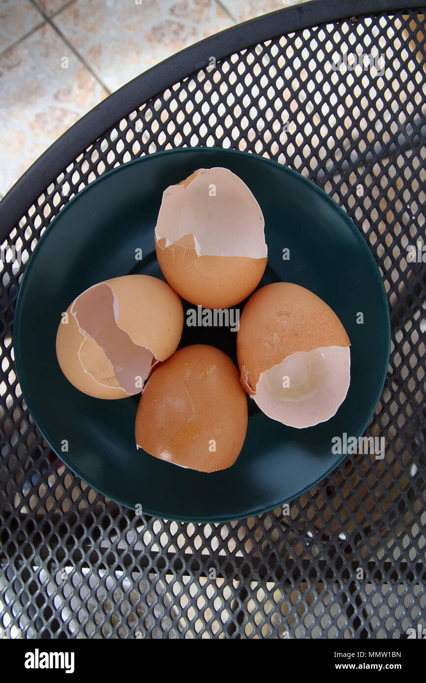 Cracked egg shells. Cracked eggs Stock Photo - Alamy