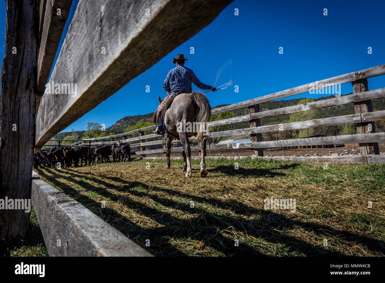 Drag ropes hi-res stock photography and images - Alamy
