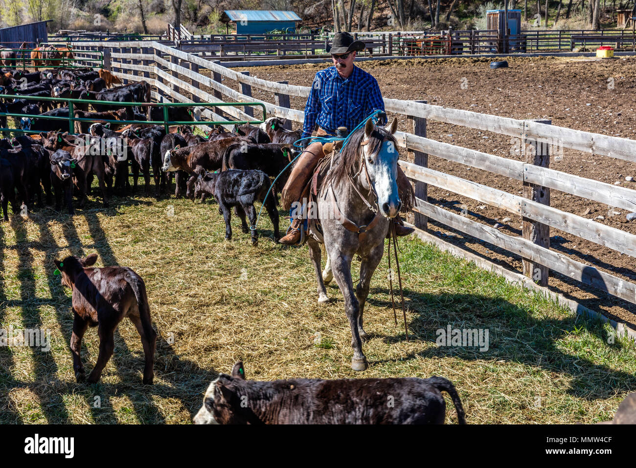 Drag ropes hi-res stock photography and images - Alamy