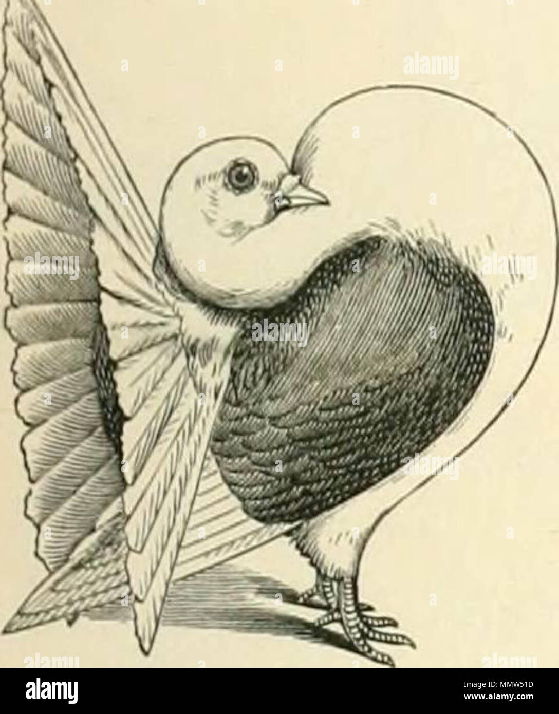 Old Scientists High Resolution Stock Photography and Images - Alamy