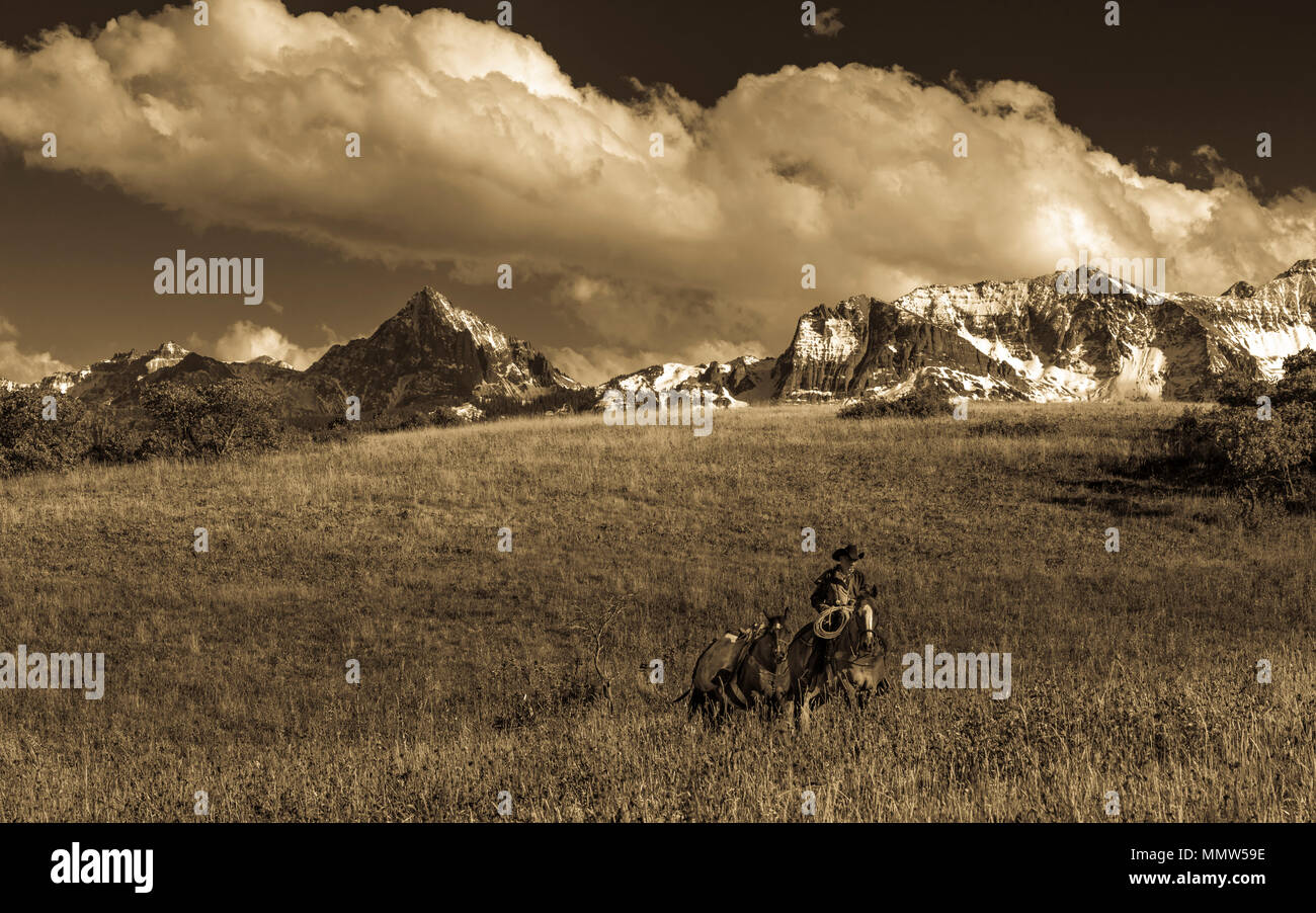 OCT 4, 2017, RIDGWAY COLORADO - Older Cowboy, Howard Linscott , leads ...