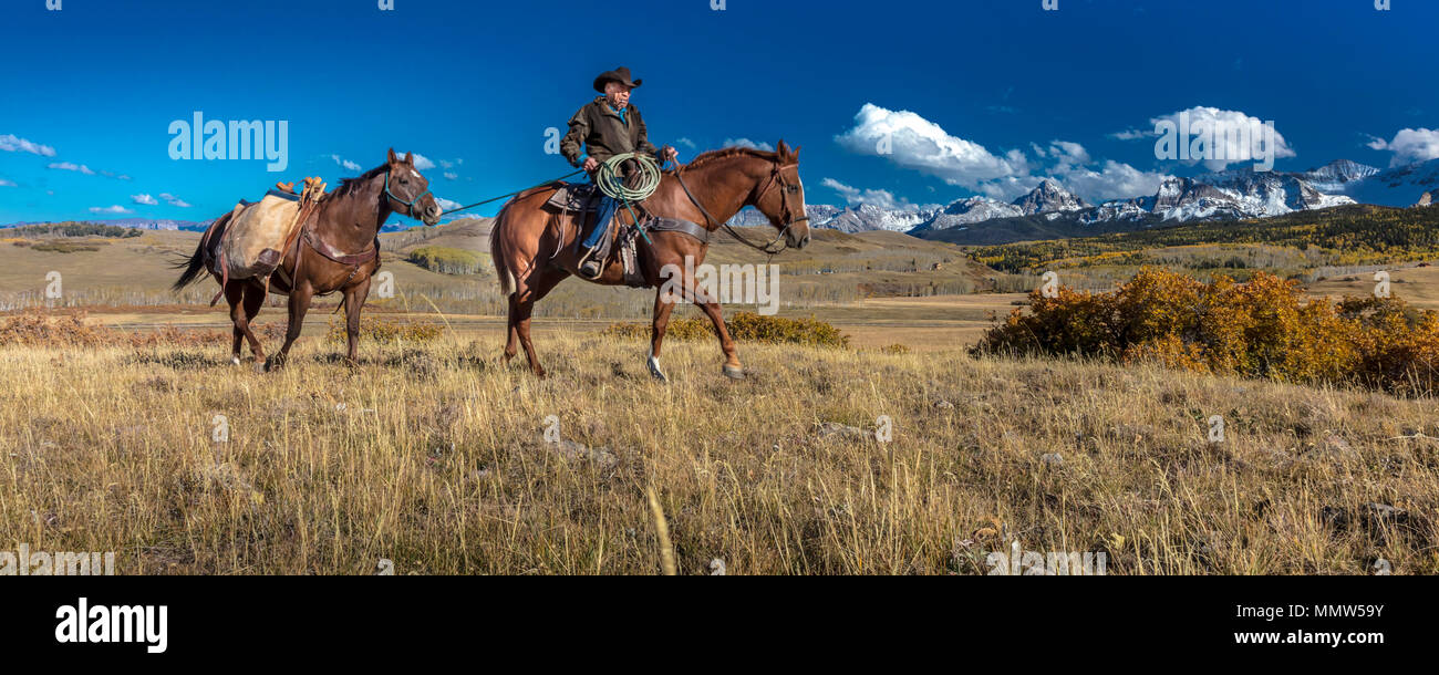 OCT 4, 2017, RIDGWAY COLORADO - Older Cowboy, Howard Linscott , leads ...