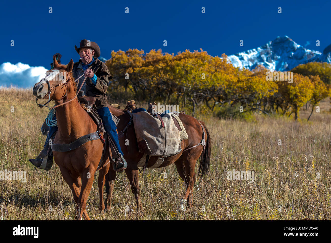 OCT 4, 2017, RIDGWAY COLORADO - Older Cowboy, Howard Linscott , leads ...