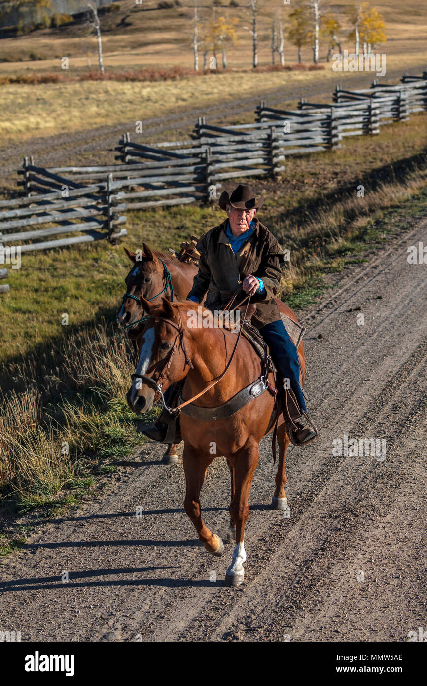 OCT 4, 2017, RIDGWAY COLORADO - Older Cowboy, Howard Linscott , leads ...