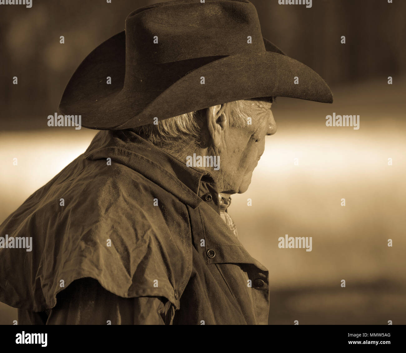 OCT 4, 2017, RIDGWAY COLORADO - Cowboy, Howard Linscott looks out over ...