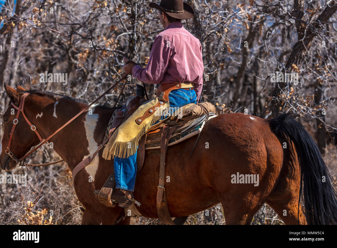 Cowboys gathering cattle hi-res stock photography and images - Alamy