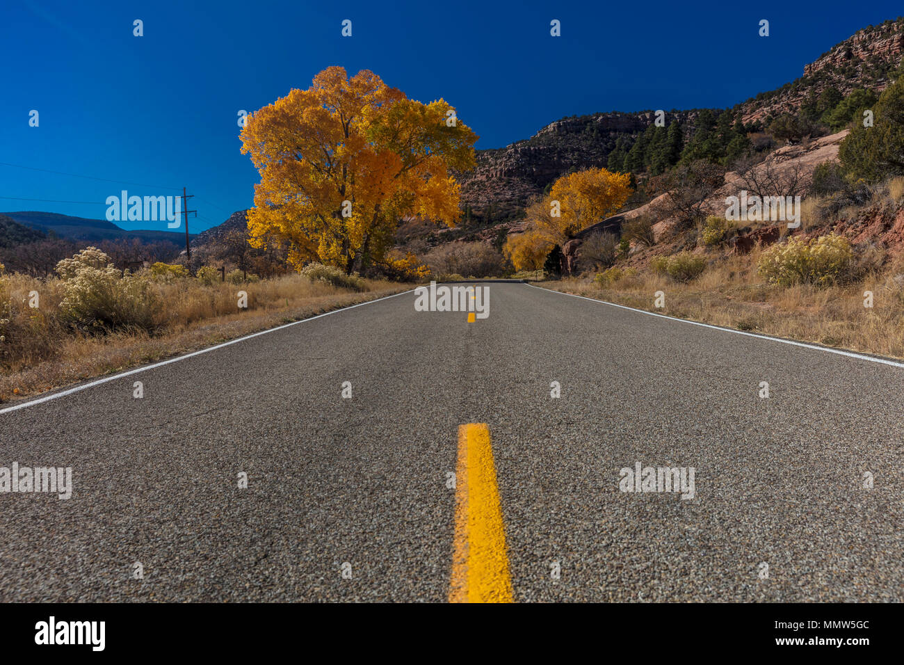 Yellow dotted line hi-res stock photography and images - Alamy