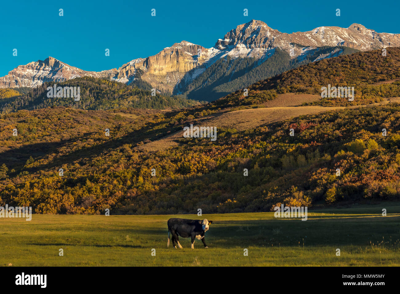 OCTOBER 3, 2017 -Cimarron Mountain Range in southwestern Colorado of ...