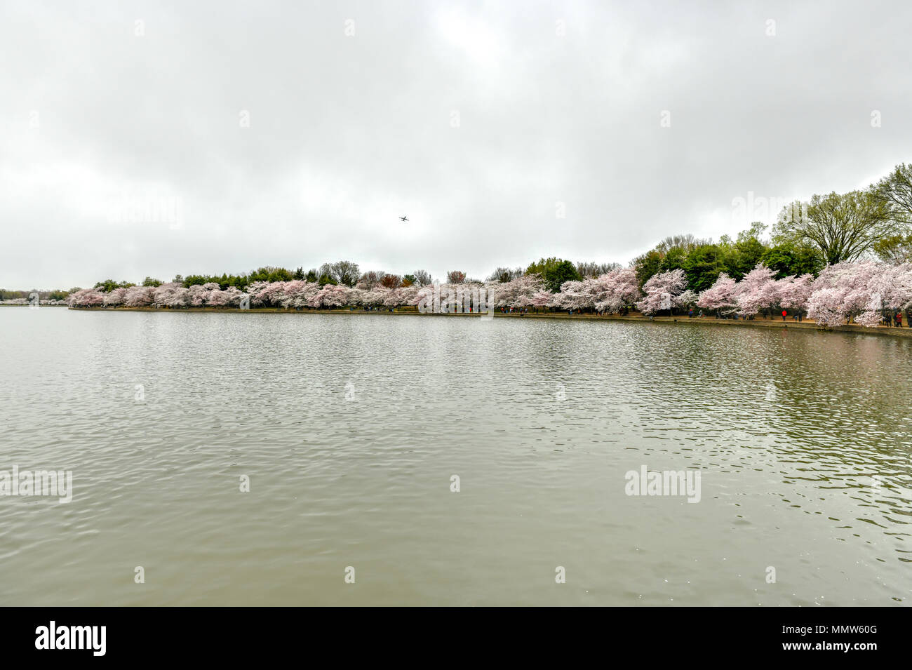 Tidal basin at dusk hi-res stock photography and images - Alamy