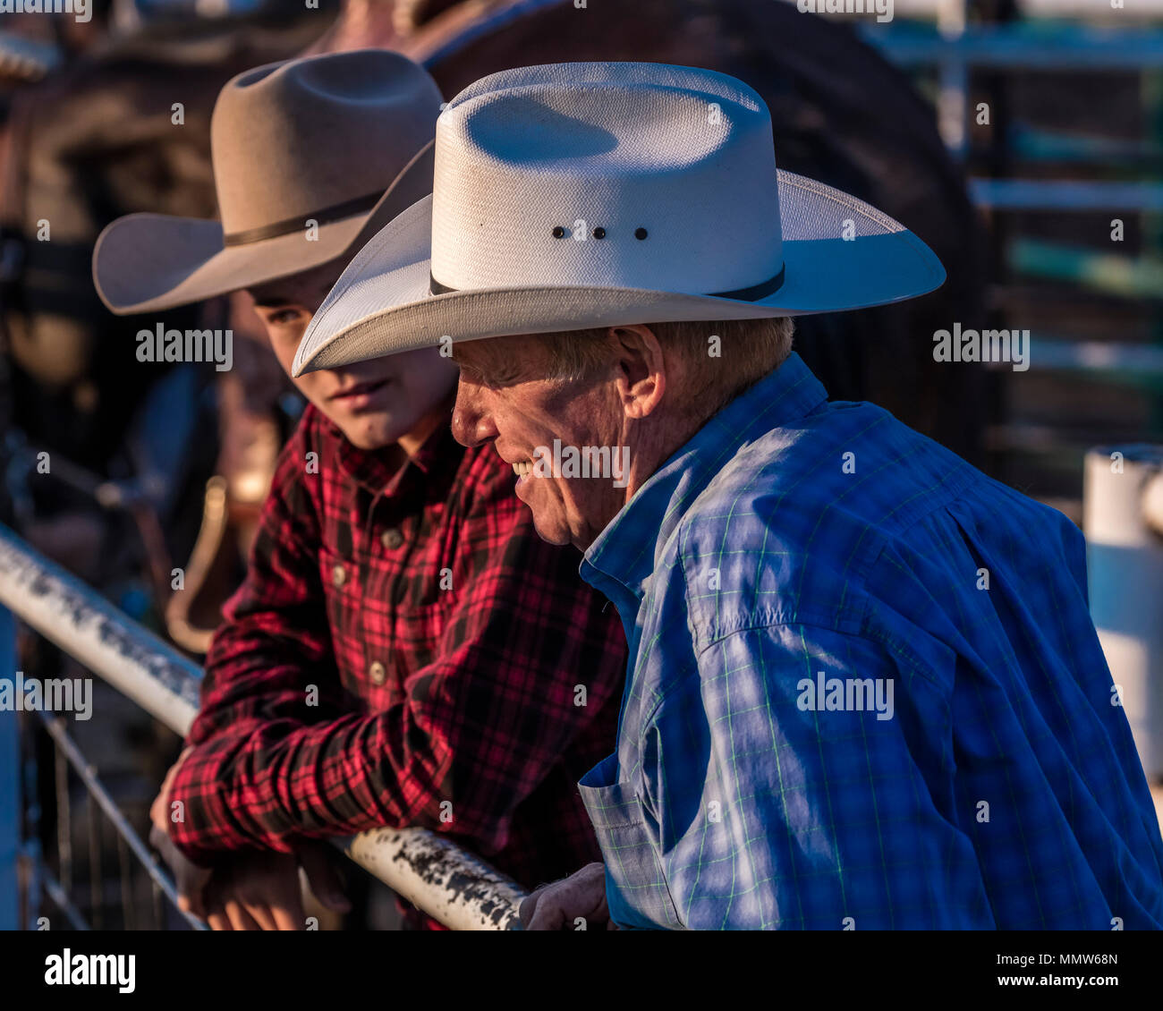 JULY 22, 2017 NORWOOD COLORADO - cowboy in plad shirt watches San ...