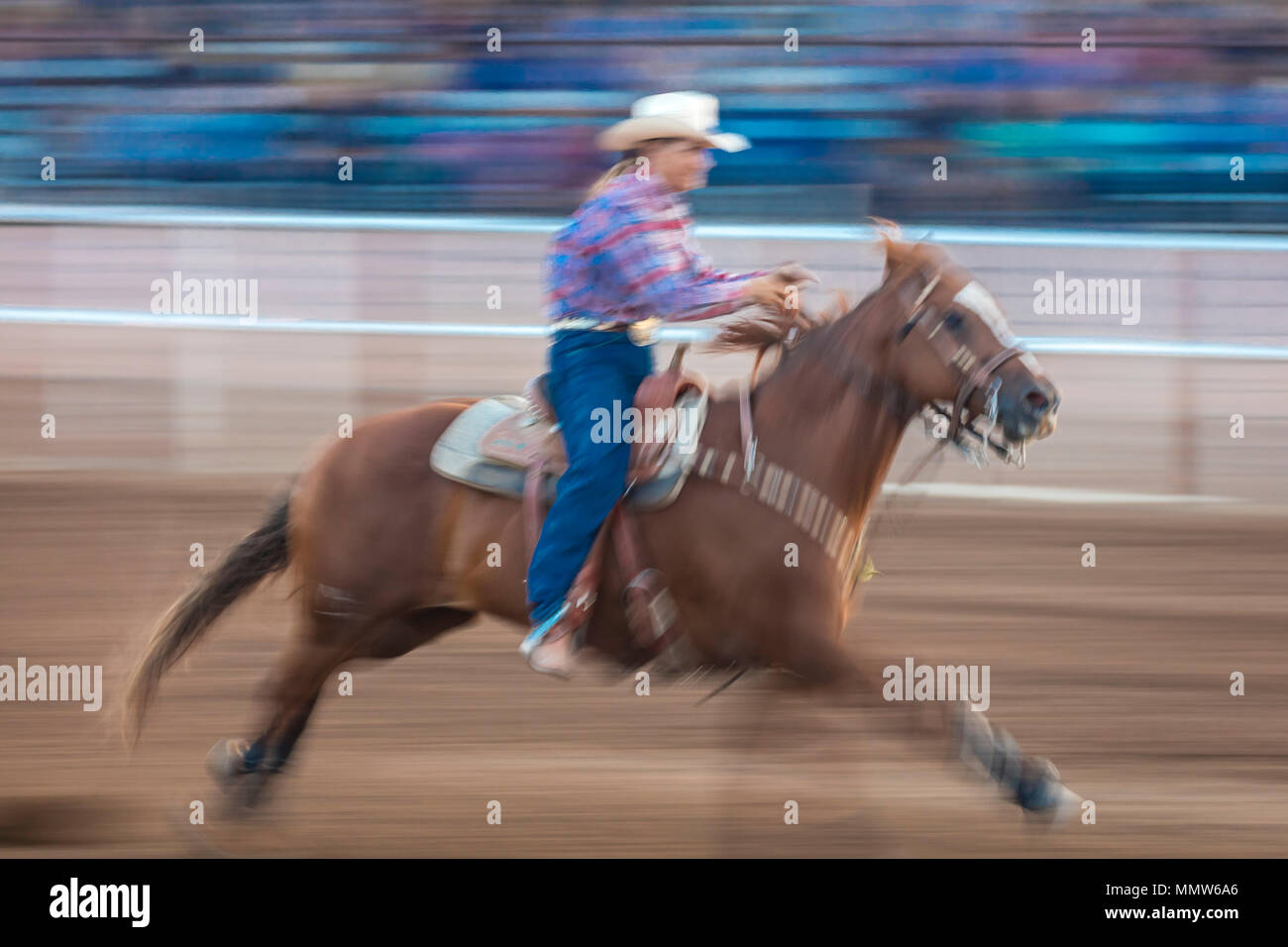 Female bronco rider hi-res stock photography and images - Alamy