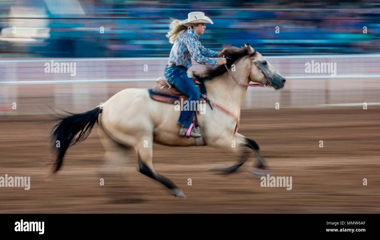 Female bronco rider hi-res stock photography and images - Alamy