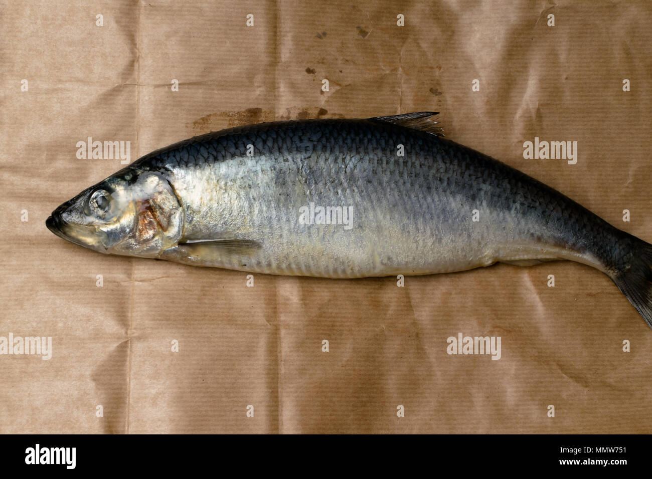 Salted dry fresh herring fish on an paper bag background. Rustic style ...