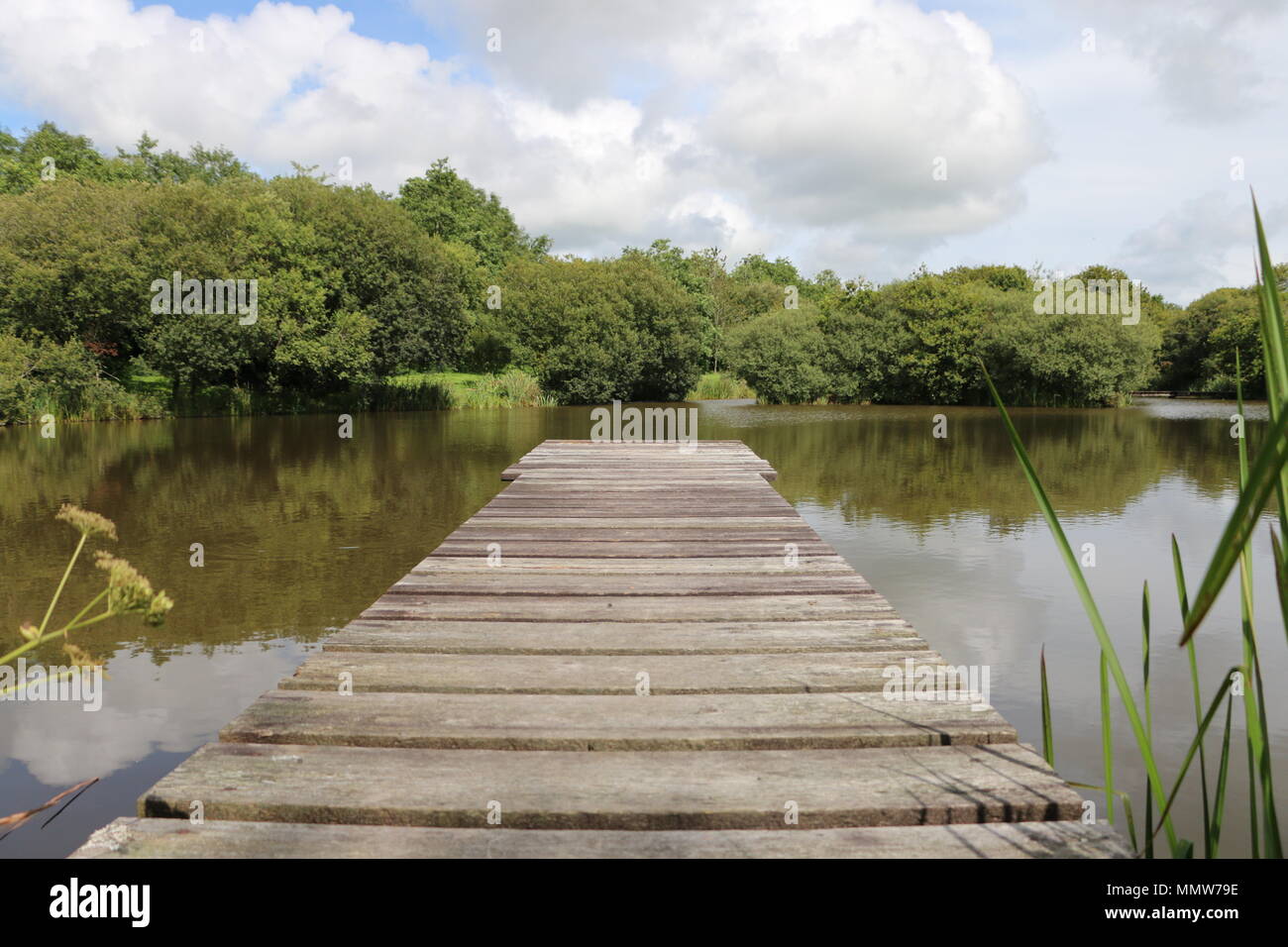 Wooden jetty over a fishing lake with sky and trees background Stock ...