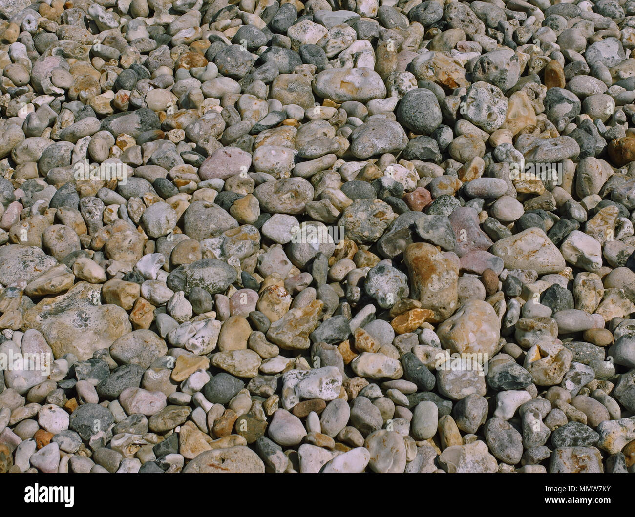 Detail of a pebble beach Stock Photo - Alamy