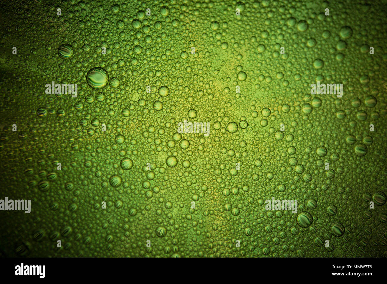 organic bubble textures abstract macro Stock Photo - Alamy