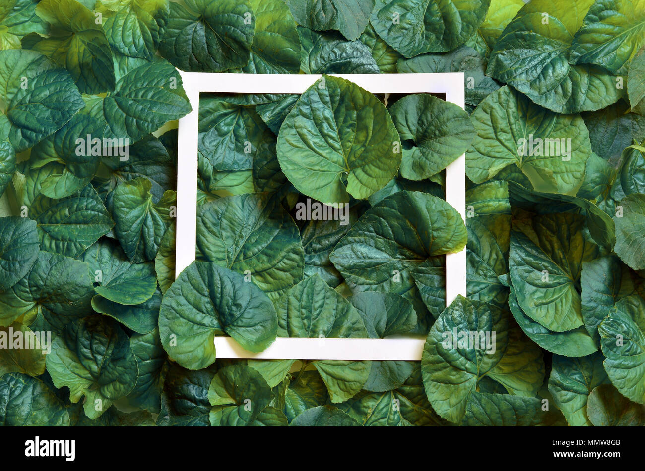 Flat lay nature hi-res stock photography and images - Alamy