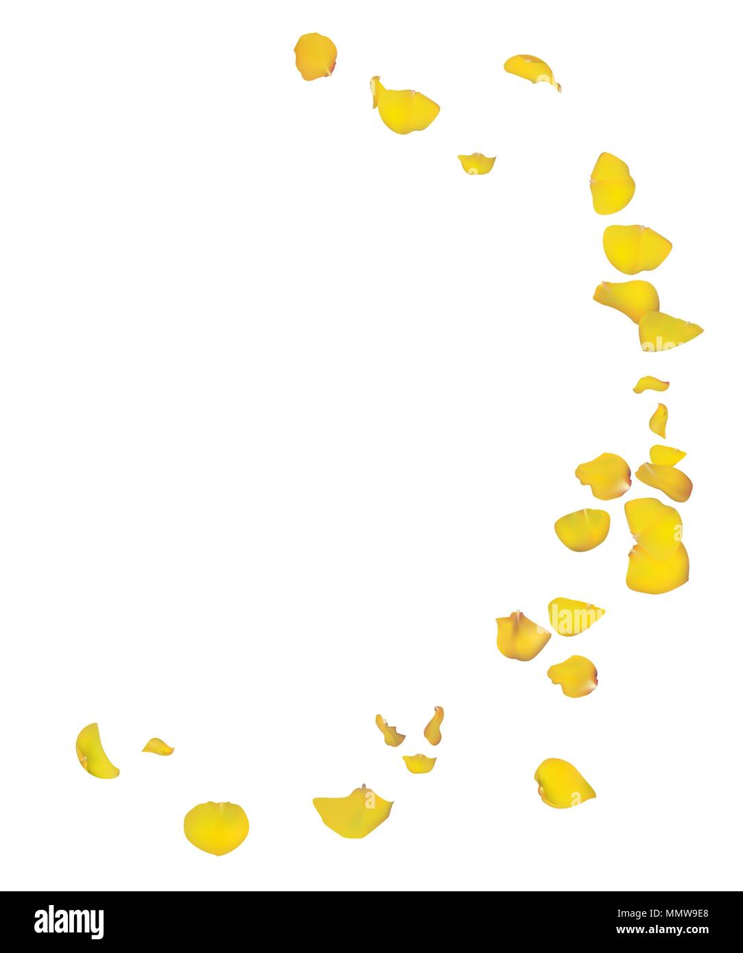 Yellow roses petals are falling down Stock Vector Image & Art - Alamy