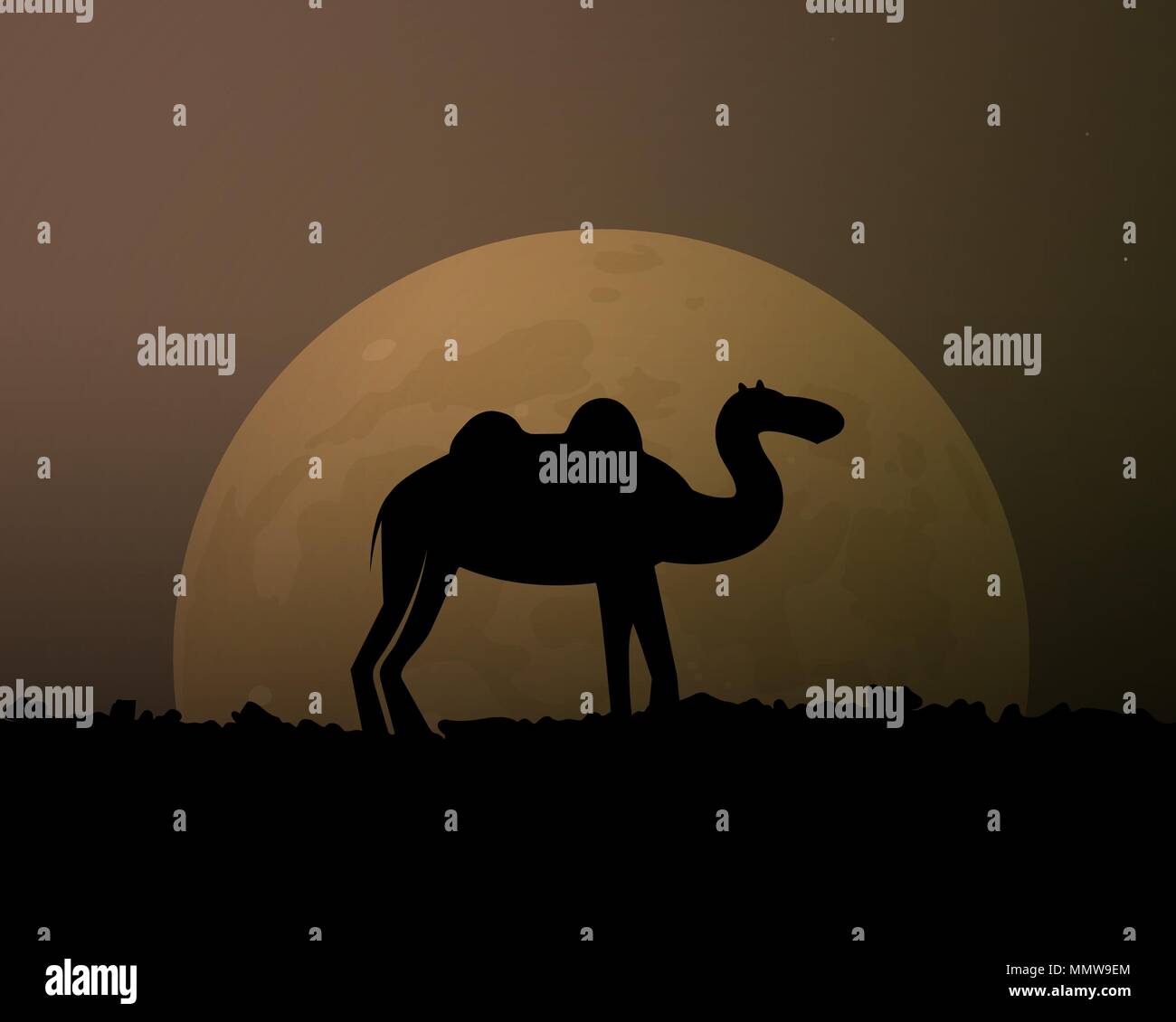 Camel side view cartoon hi-res stock photography and images - Alamy