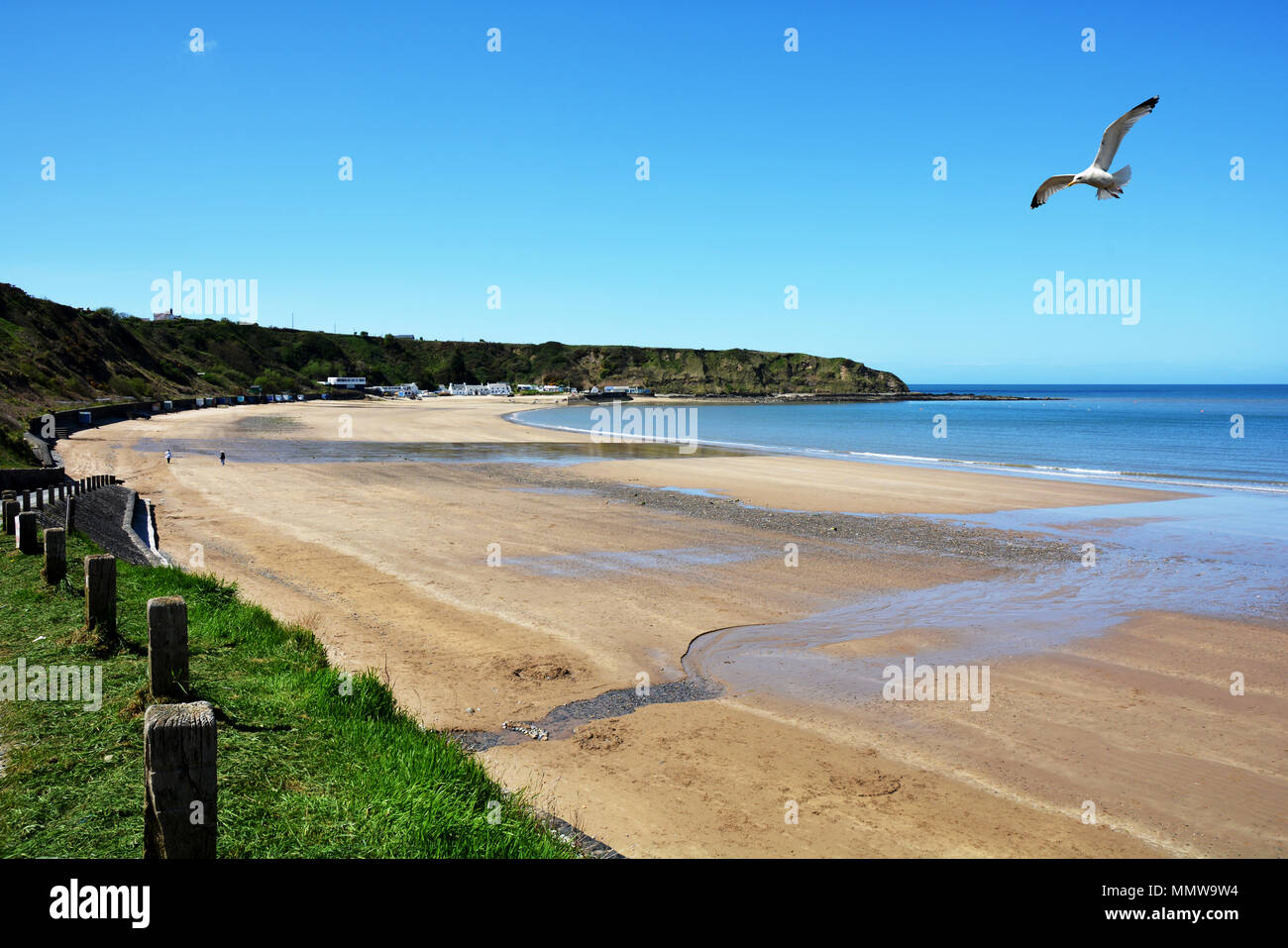 Morfa Nefyn Beach High Resolution Stock Photography and Images - Alamy