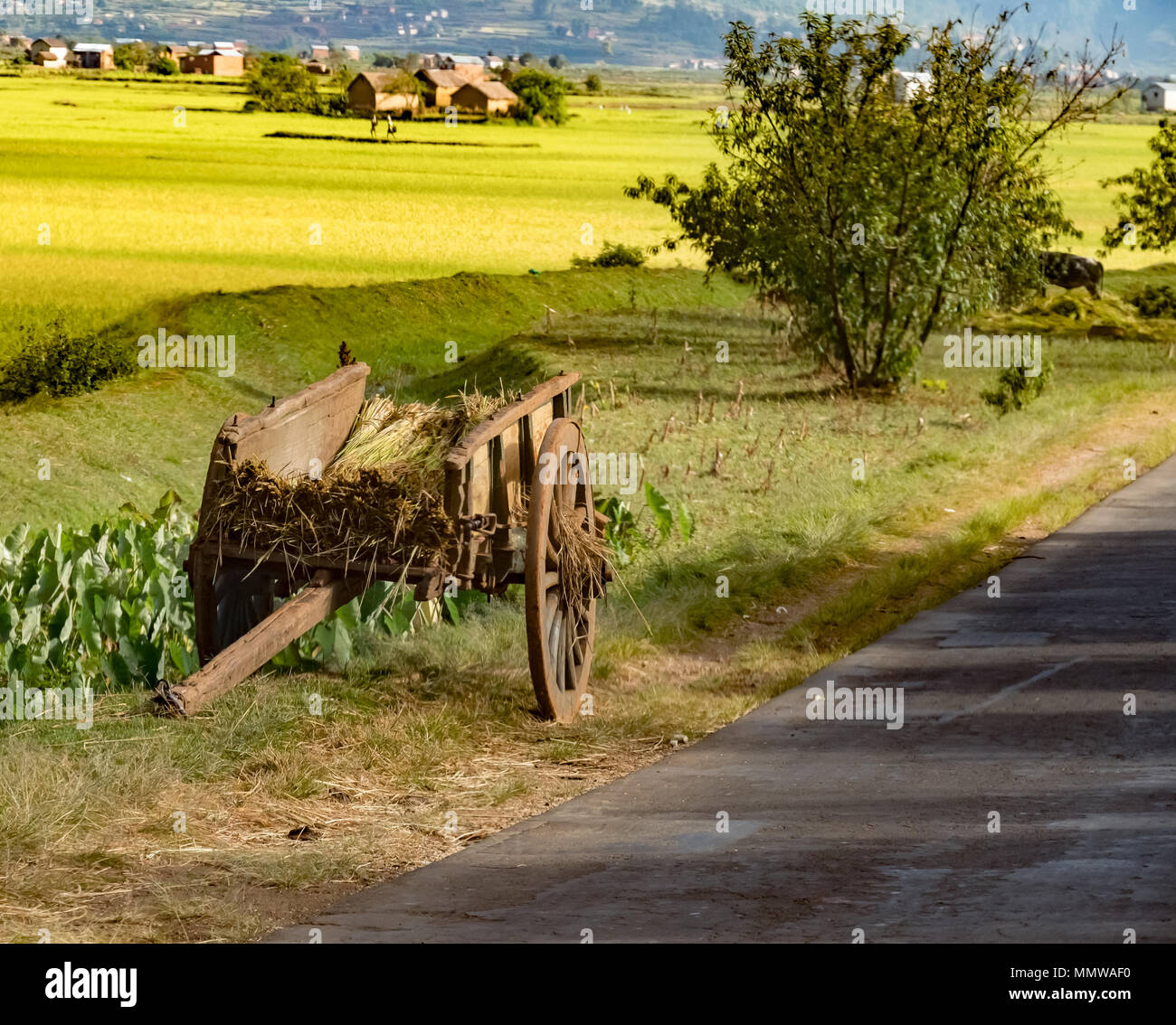 Wooden trek cart hi-res stock photography and images - Alamy