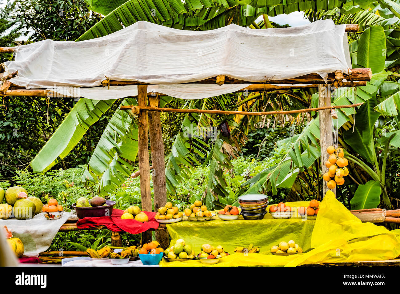 Tropical fruit and vegetable stands along the National Route 2 near ...