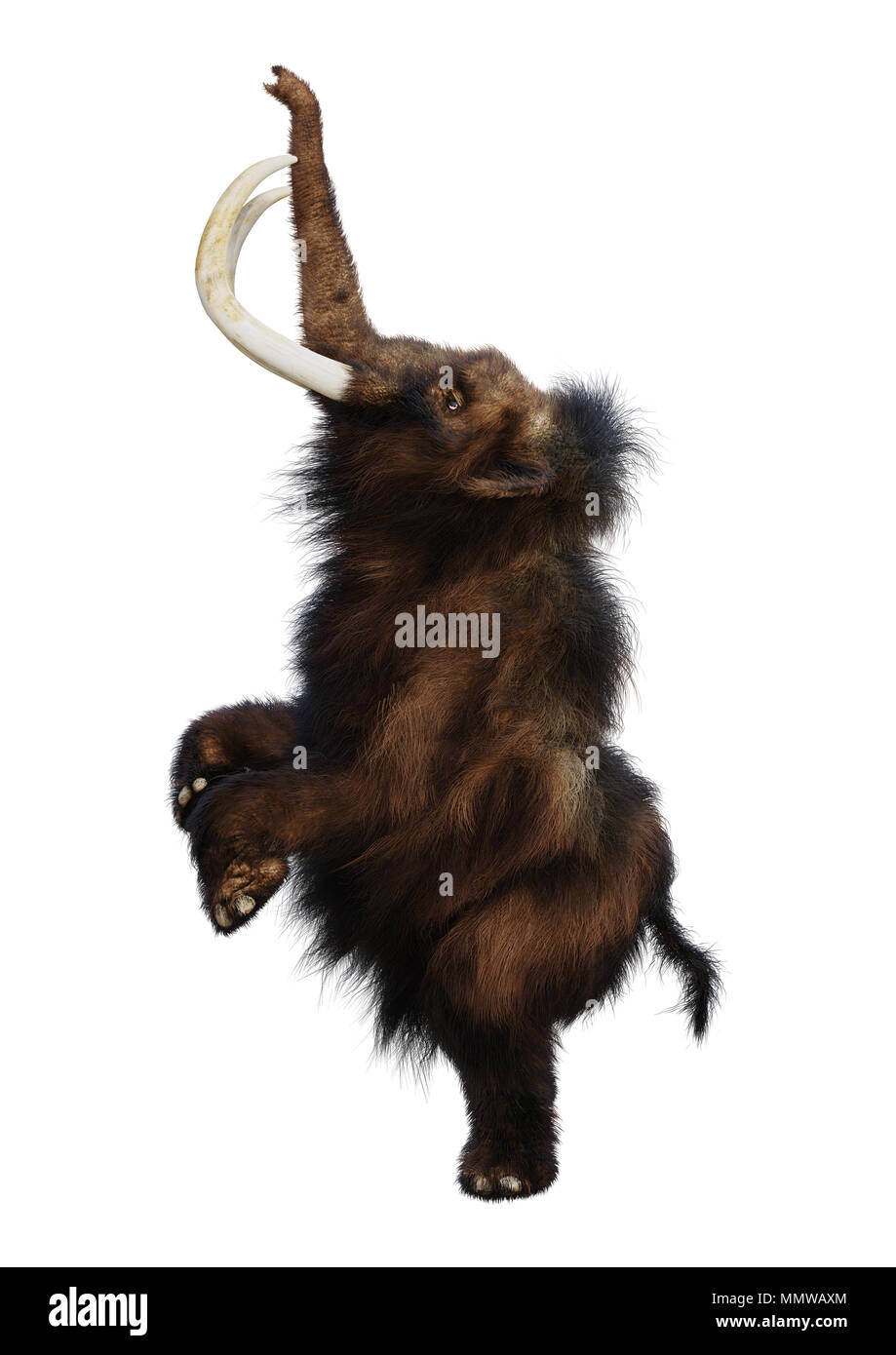 3D rendering of a woolly mammoth isolated on white background Stock ...
