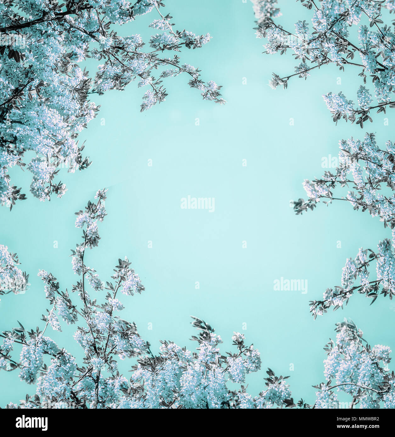 Light Turquoise Background
