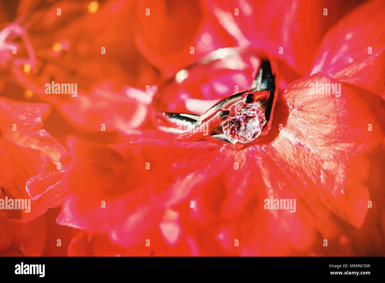 Wedding ring or Engagement ring on the red flower, The diamond head of ...
