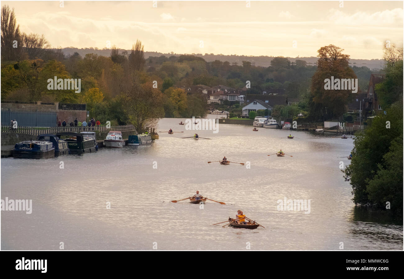 skiff boats rowing up the thames Stock Photo - Alamy