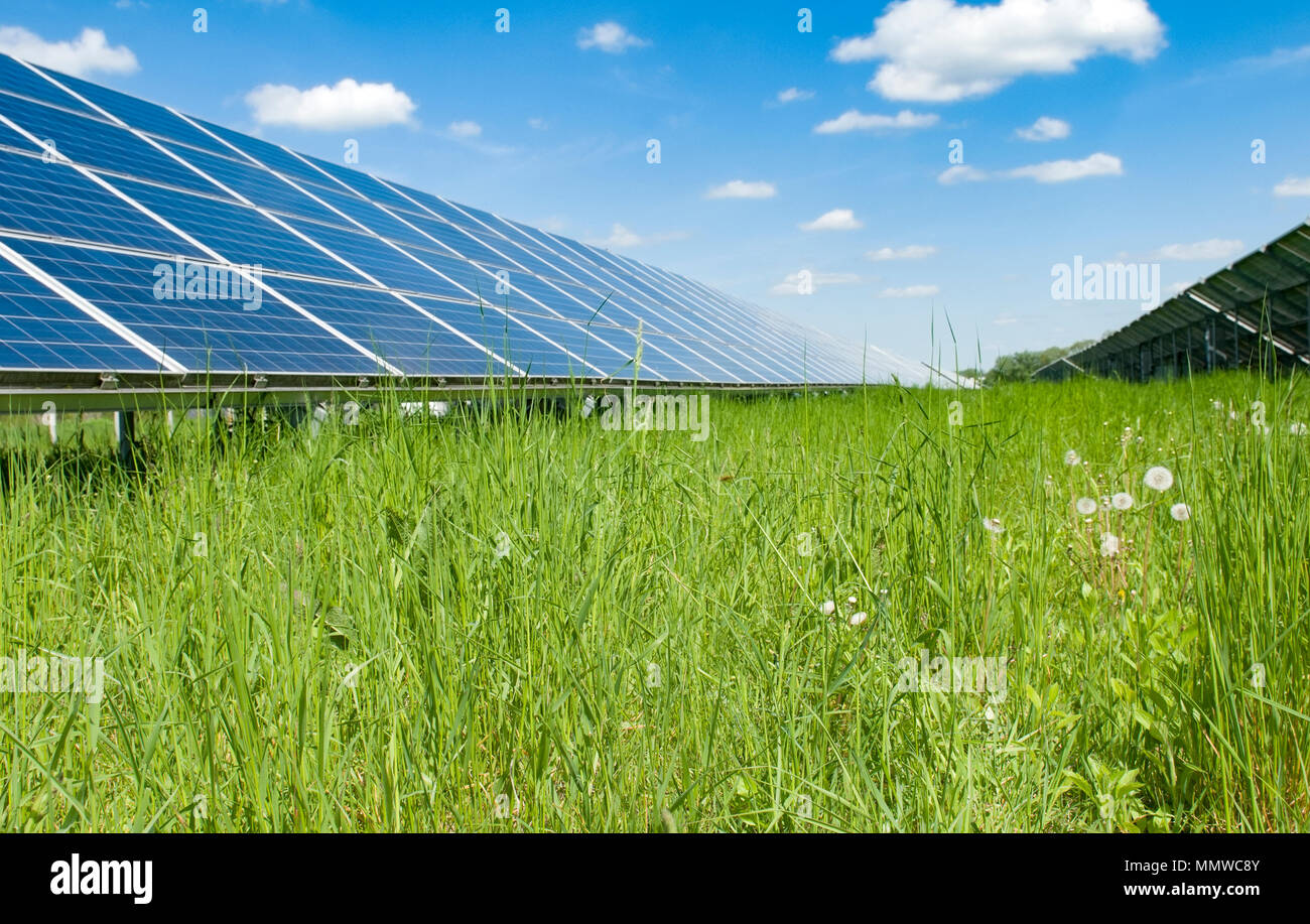 image of a big solar plant Stock Photo - Alamy