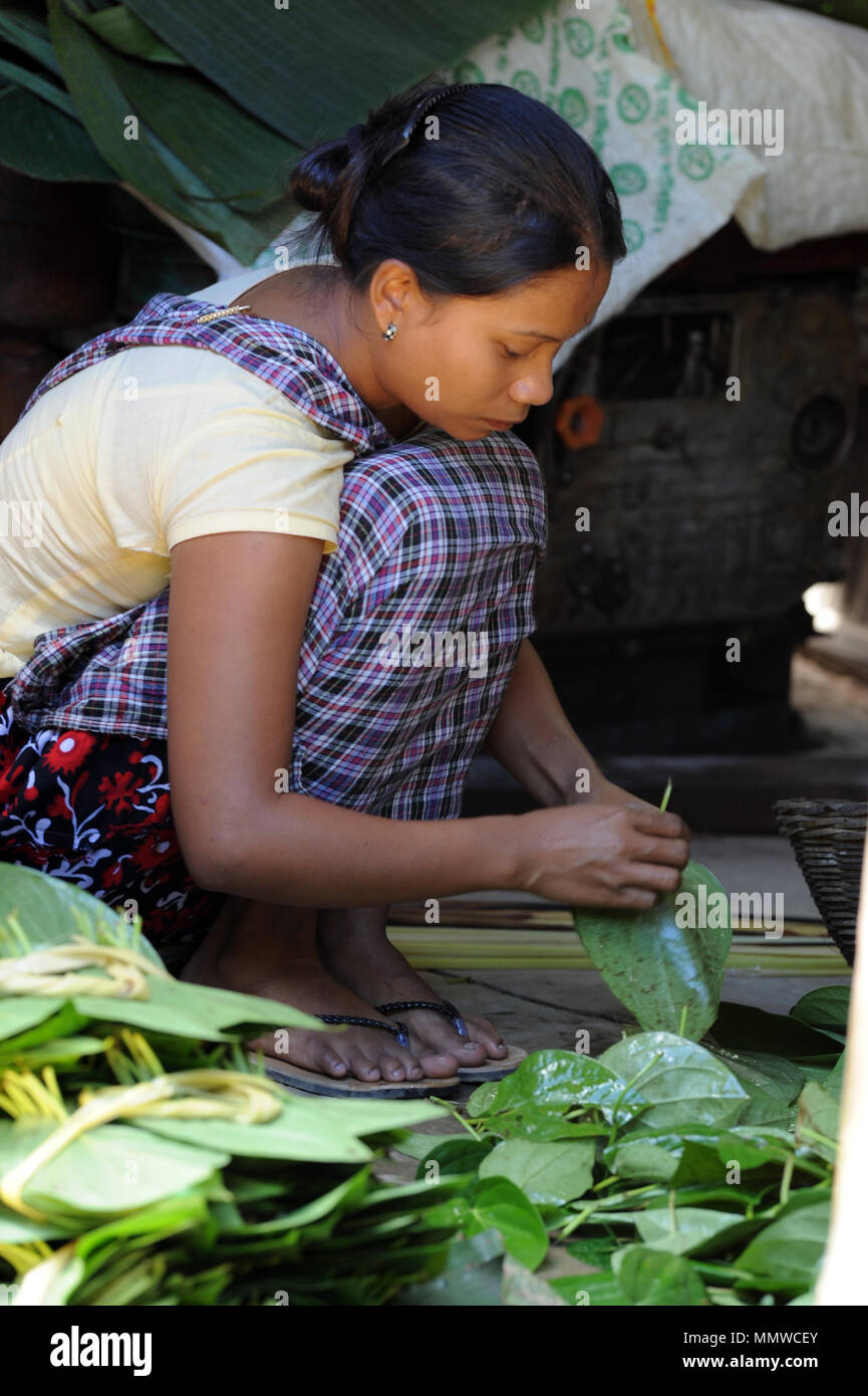Srimongol hi-res stock photography and images - Alamy