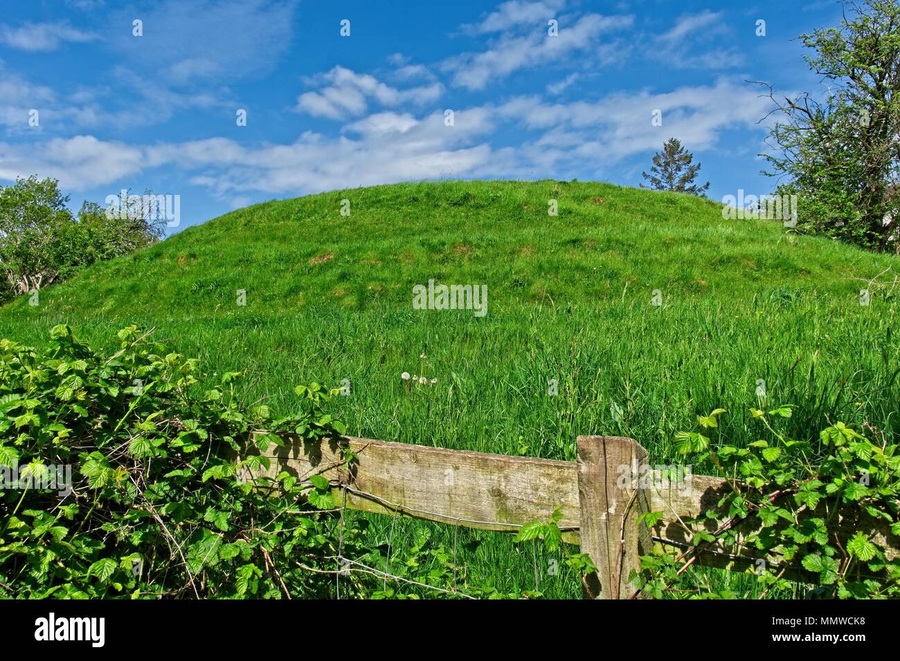 Mound of hay hi-res stock photography and images - Alamy