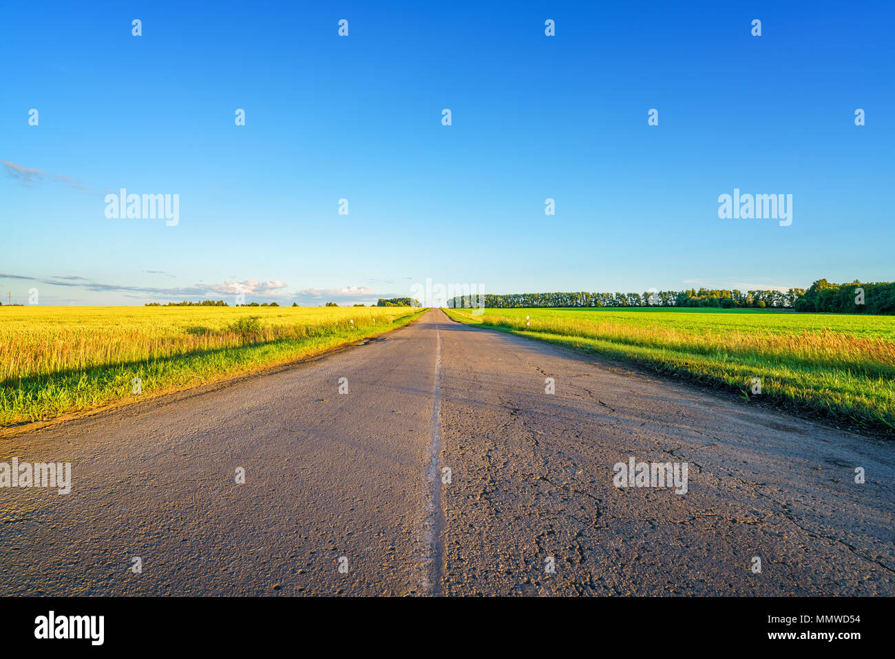 Driveway in a countryside Stock Photo - Alamy