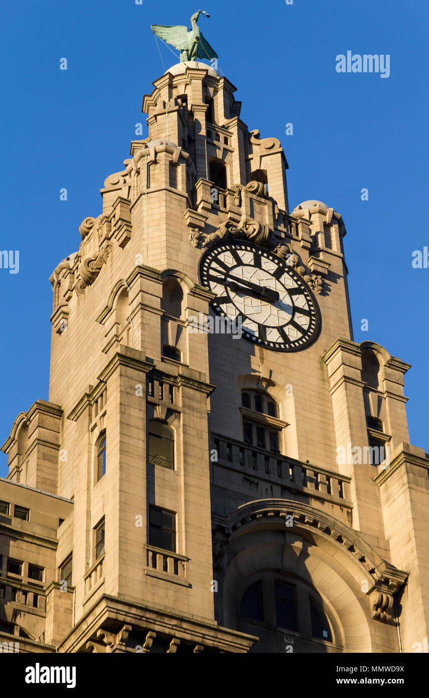 Close up shot of the Royal Liver Building, showing a Liver bird ...