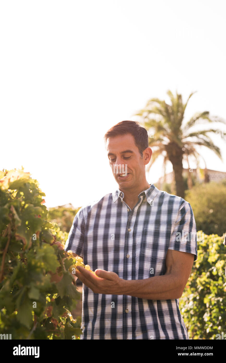 Inspecting vines hi-res stock photography and images - Alamy