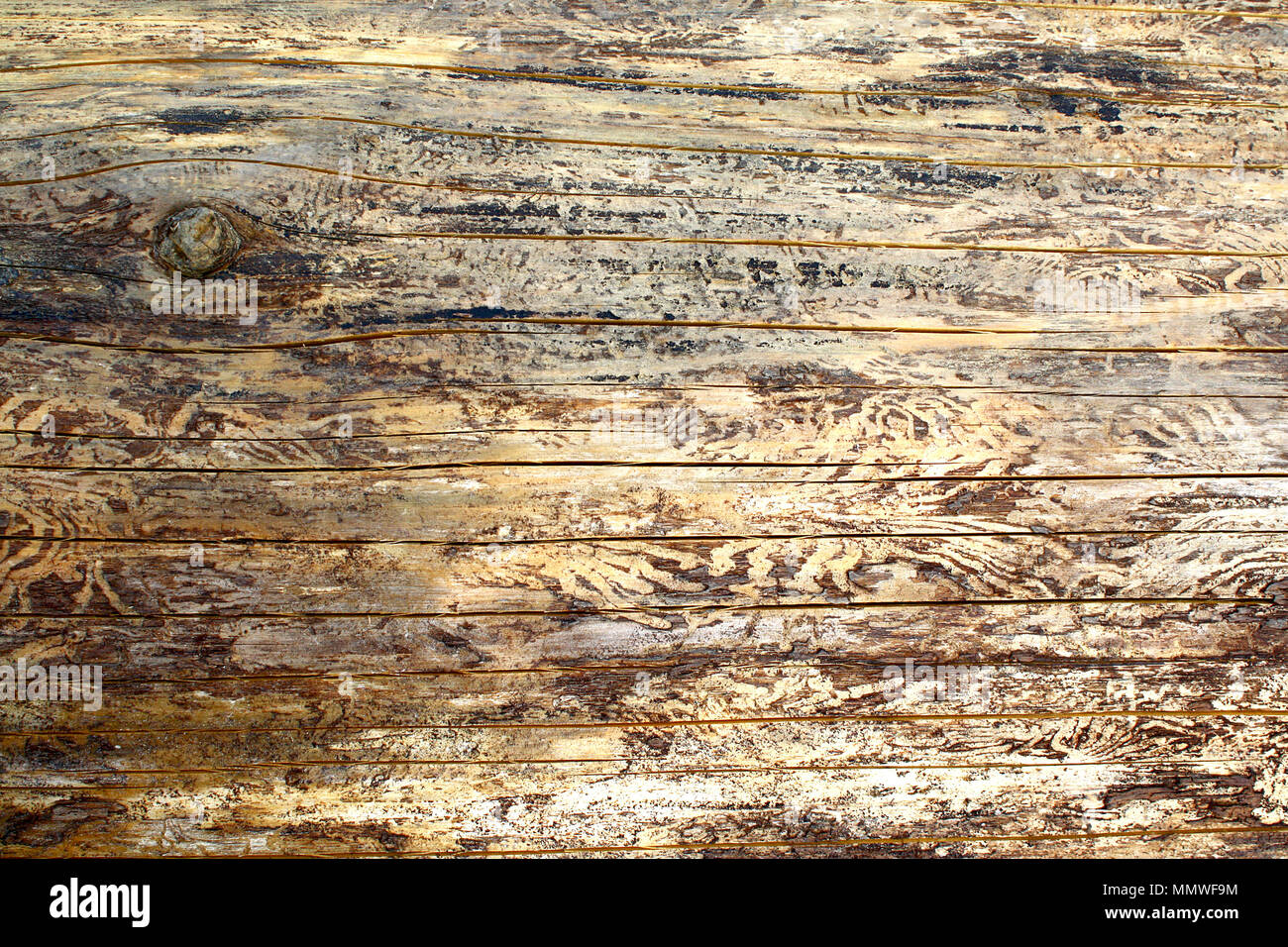 Rough surface hi-res stock photography and images - Alamy