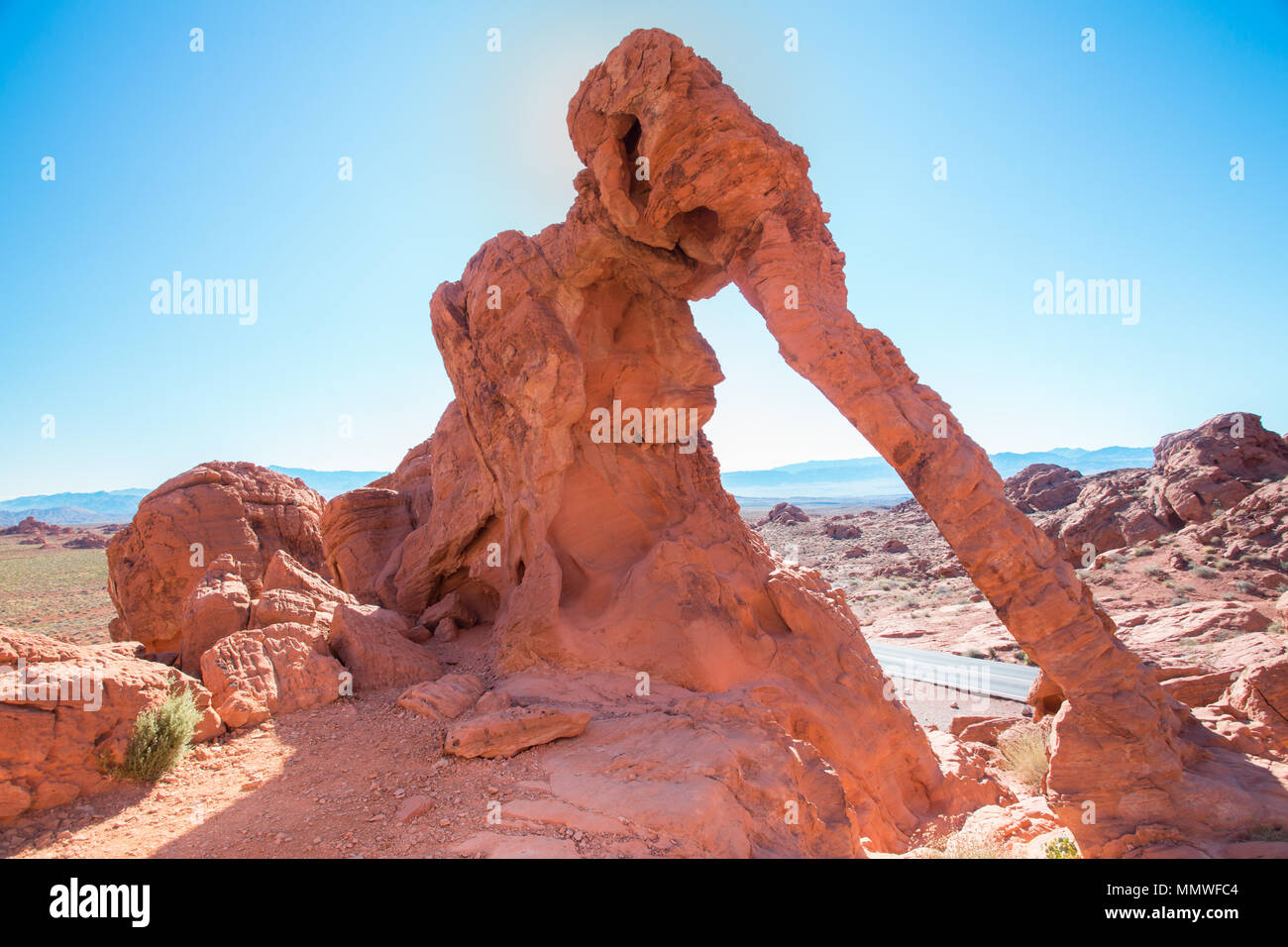 Elephant rock formation hi-res stock photography and images - Alamy