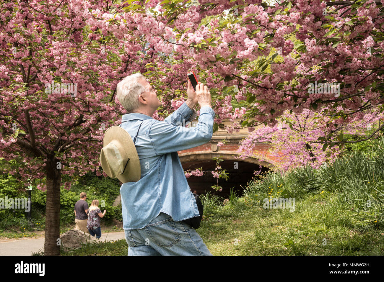Pensioner outdoors hi-res stock photography and images - Alamy