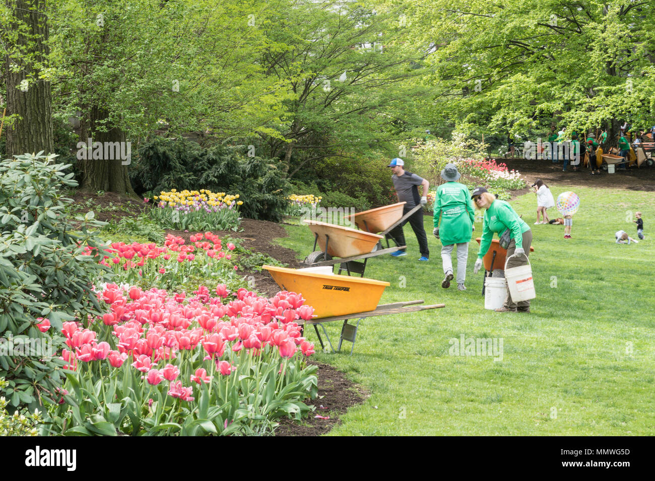 Central Park Gardeners and Volunteers Plant Flowers in the Springtime ...