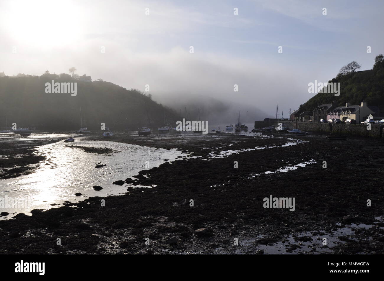 Lower Fishguard harbour, Pemrokeshire, Wales UK Stock Photo - Alamy