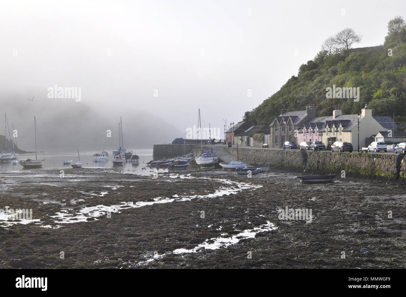Lower Fishguard harbour, Pemrokeshire, Wales UK Stock Photo - Alamy