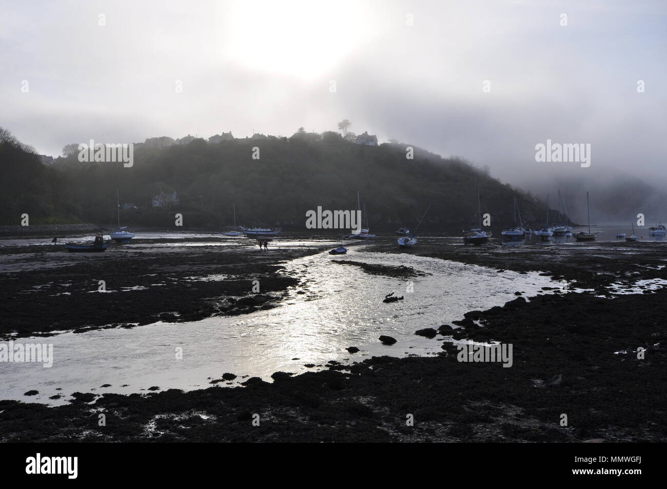 Lower Fishguard harbour, Pemrokeshire, Wales UK Stock Photo - Alamy