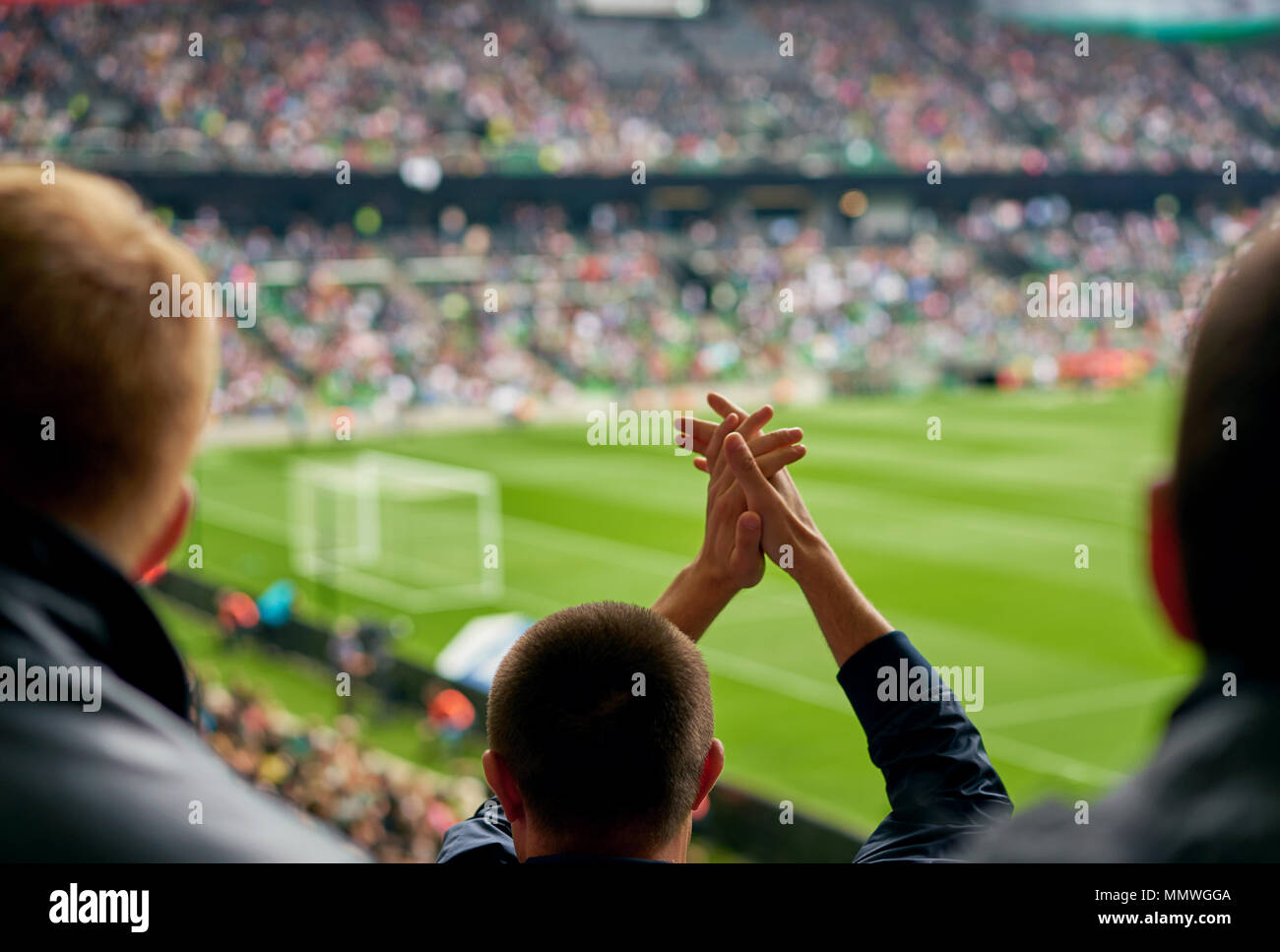Sports fans stadium cheering hi-res stock photography and images - Alamy