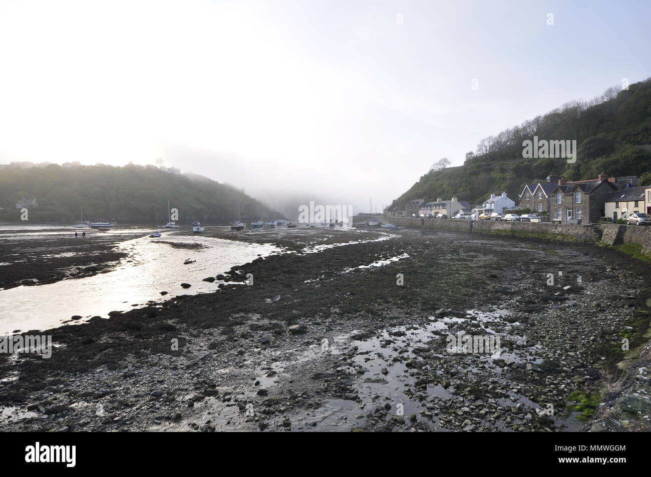 Lower Fishguard harbour, Pemrokeshire, Wales UK Stock Photo - Alamy